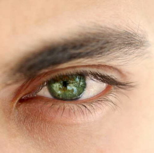 Seltenste Augenfarbe | Was ist die seltenste Augenfarbe der Welt ...